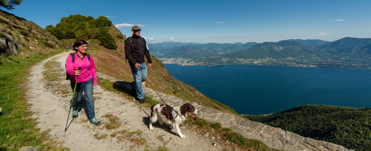 Trekking - Lago Maggiore ZIPline